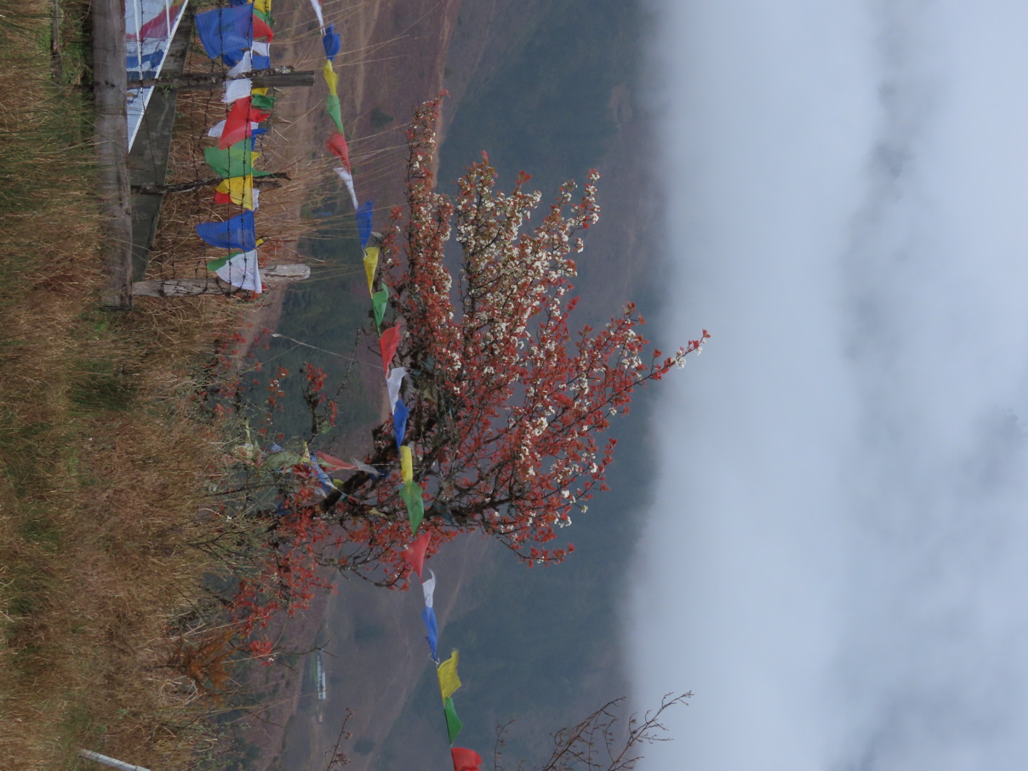 Mechukha in Arunachal Pradesh Must be the Last Shangrila – TRAVELTRUNK.NET